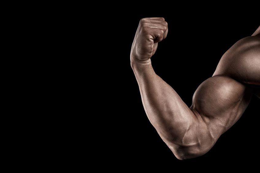 Susu Tinggi Protein Efektif Bikin Tubuh Berotot? - KlikDokter