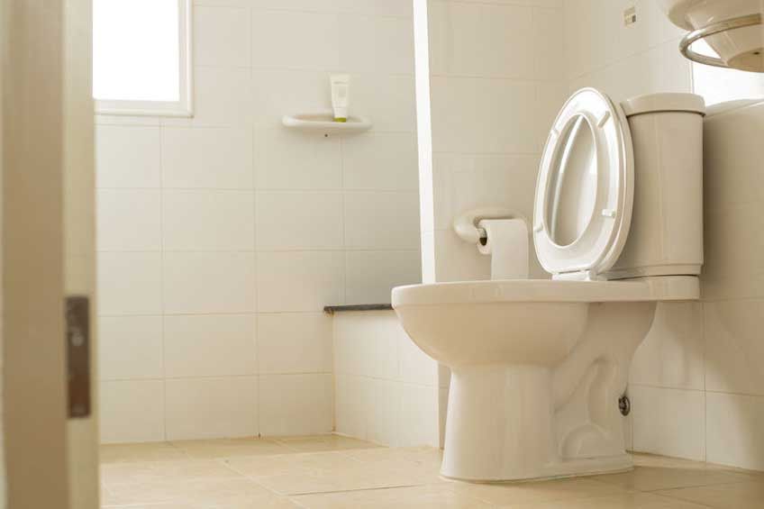 Fakta di Balik Perubahan Warna Feses Menjadi Gelap - KlikDokter