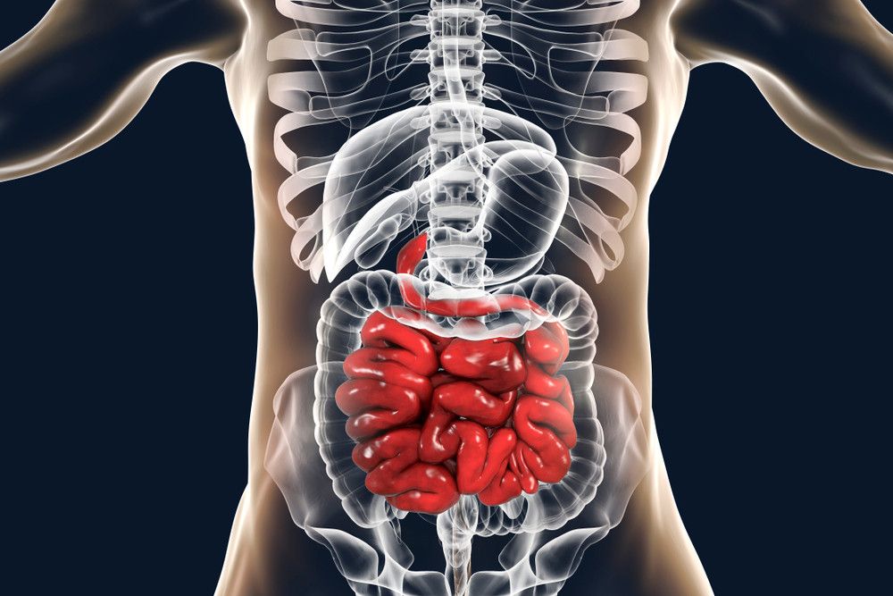 17 Manfaat Berlimpah Konsumsi Labu Kuning (Kabocha) - KlikDokter