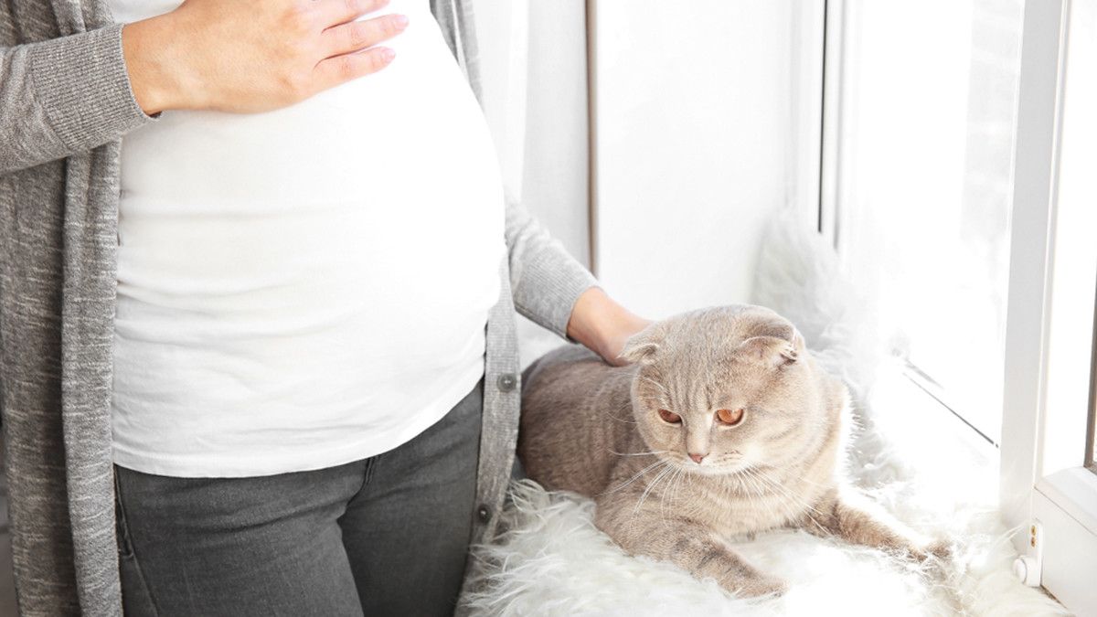 Hati-Hati Toksoplasma pada Ibu Hamil, Ini Gejalanya - KlikDokter