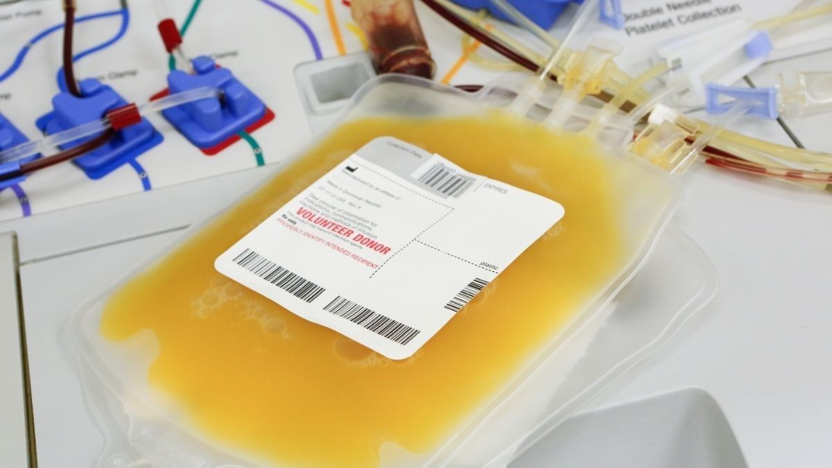Kenali Metode Transfusi Trombosit - KlikDokter