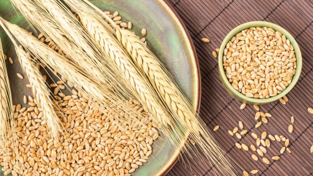 Tak Cuma Bagus untuk Tubuh, Ini Manfaat Gandum untuk Kecantikan ...