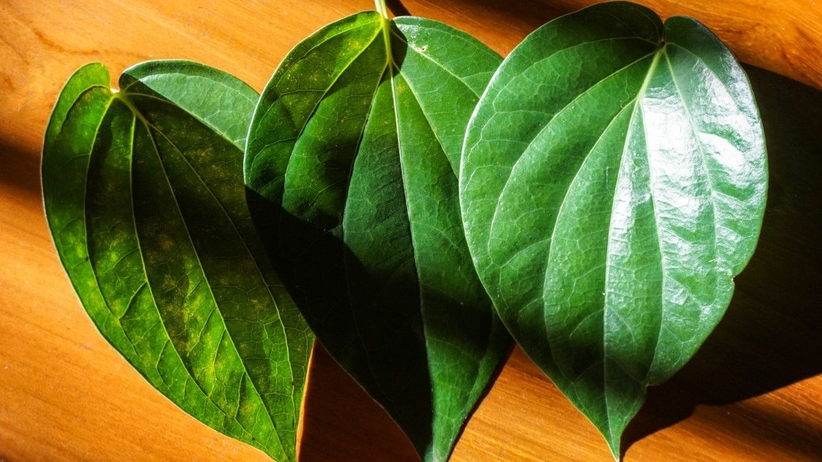 15 Obat Gusi Bengkak Paling Ampuh Redakan Nyeri - KlikDokter