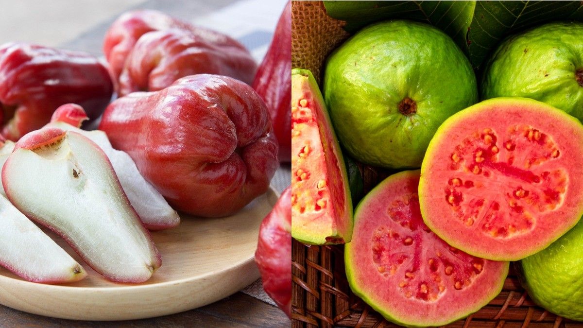 Jambu Merah vs Jambu Klutuk, Mana yang Lebih Sehat? - KlikDokter