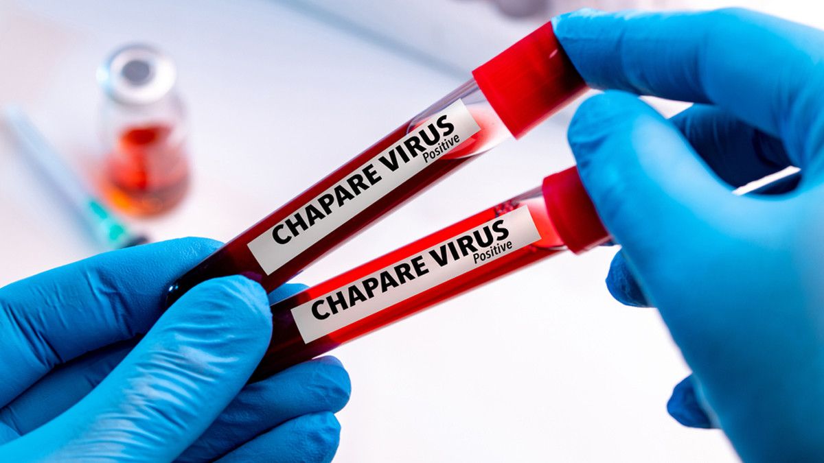 Mengenal Virus Chapare yang Mematikan di Bolivia - KlikDokter