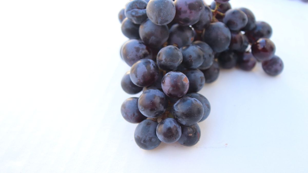 Ragam Manfaat Anggur Berdasarkan Warnanya - KlikDokter