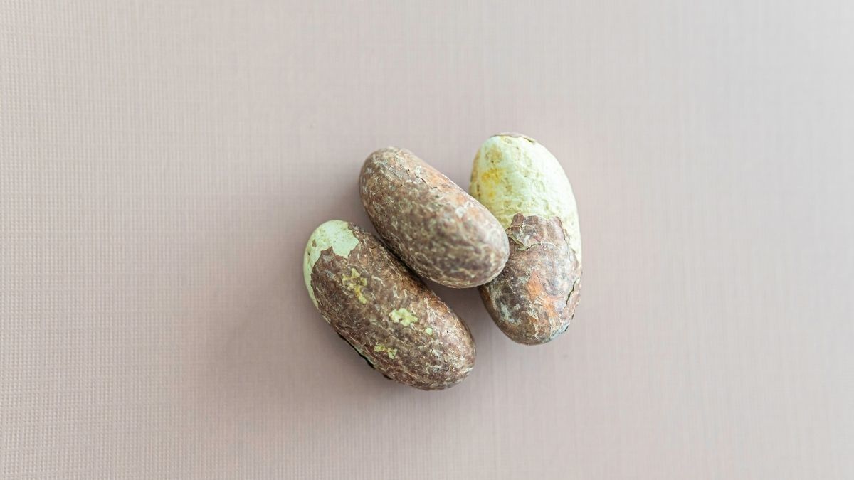 Manfaat Biji Kola untuk Kesehatan Tubuh - KlikDokter