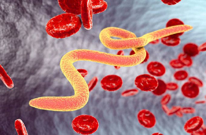 Suka Berjalan Tanpa Alas Kaki? Waspada Parasit Ini - KlikDokter