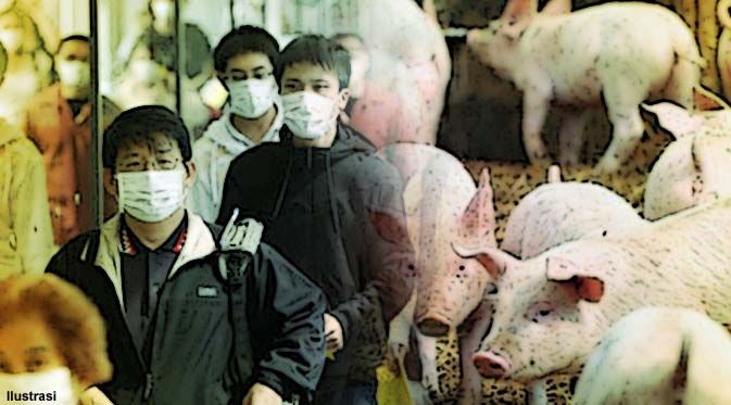 Muncul Virus G4 Flu Babi yang Berpotensi Jadi Pandemi di Tiongkok ...