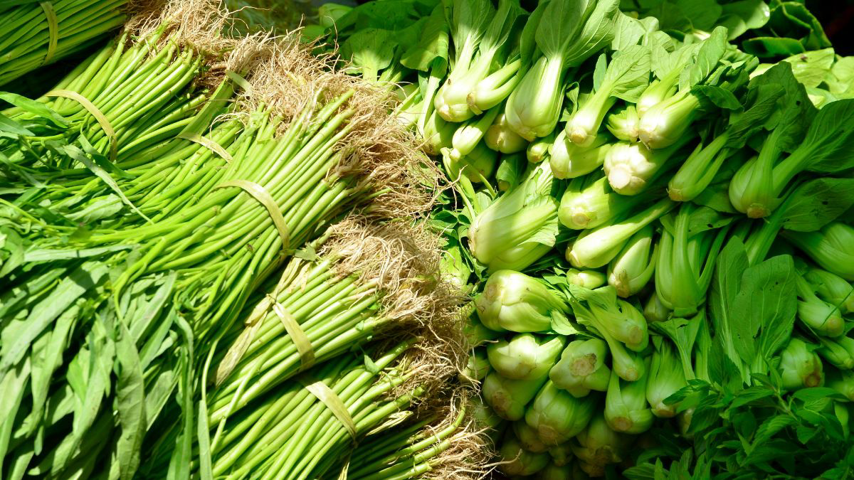 14 Makanan yang Baik untuk Kesehatan Anjing - KlikDokter