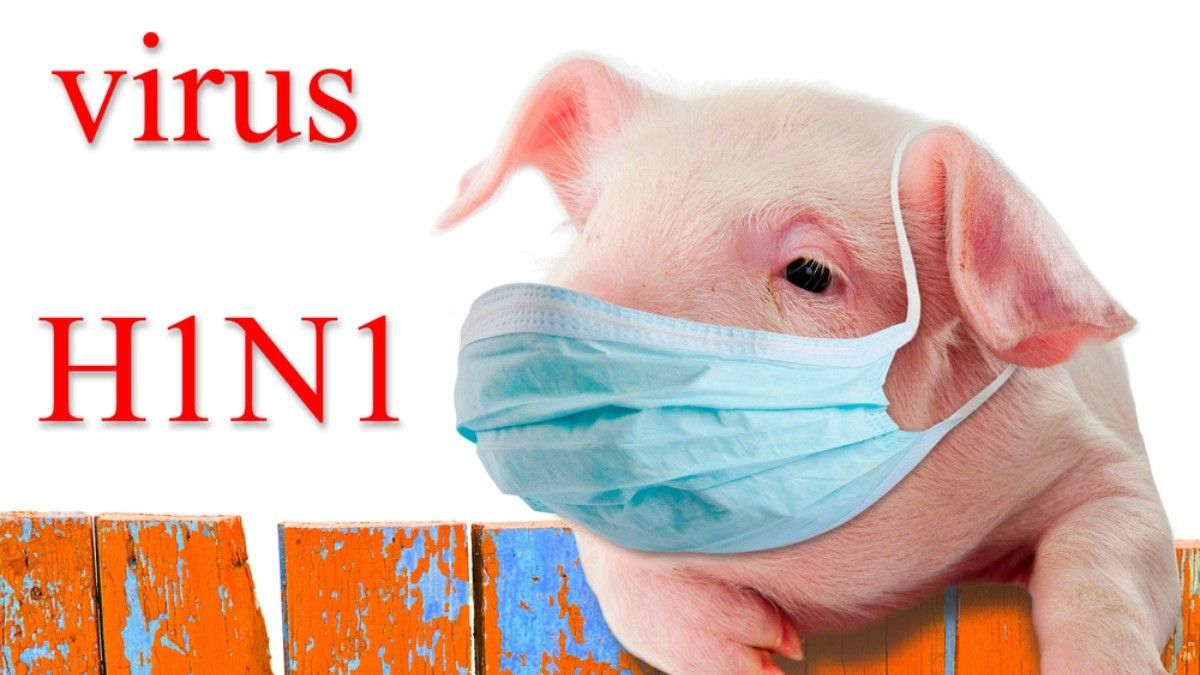 Kata WHO, Virus Corona Lebih Mematikan Dibandingkan Flu Babi! - KlikDokter