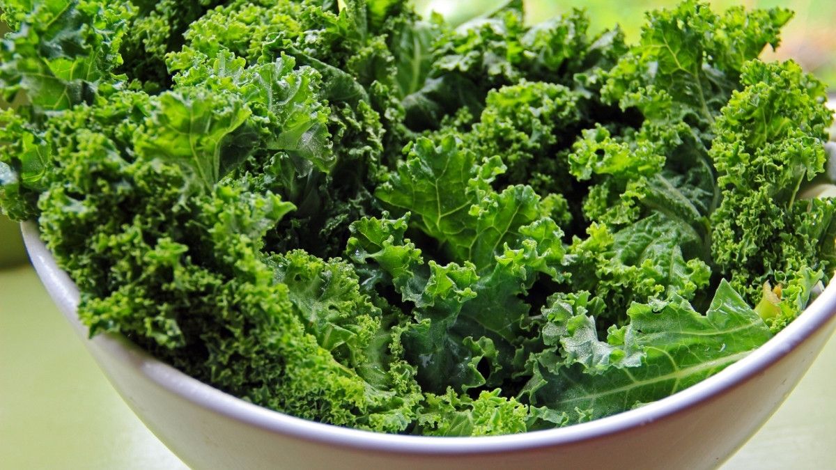 Manfaat Sayur Kale untuk Kecantikan Kulit - KlikDokter