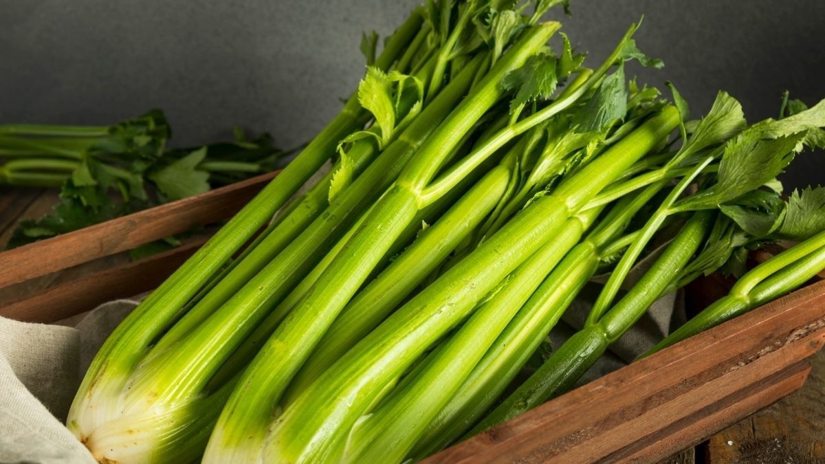 20 Manfaat Batang Seledri bagi Kesehatan, Mirip Daunnya? - KlikDokter