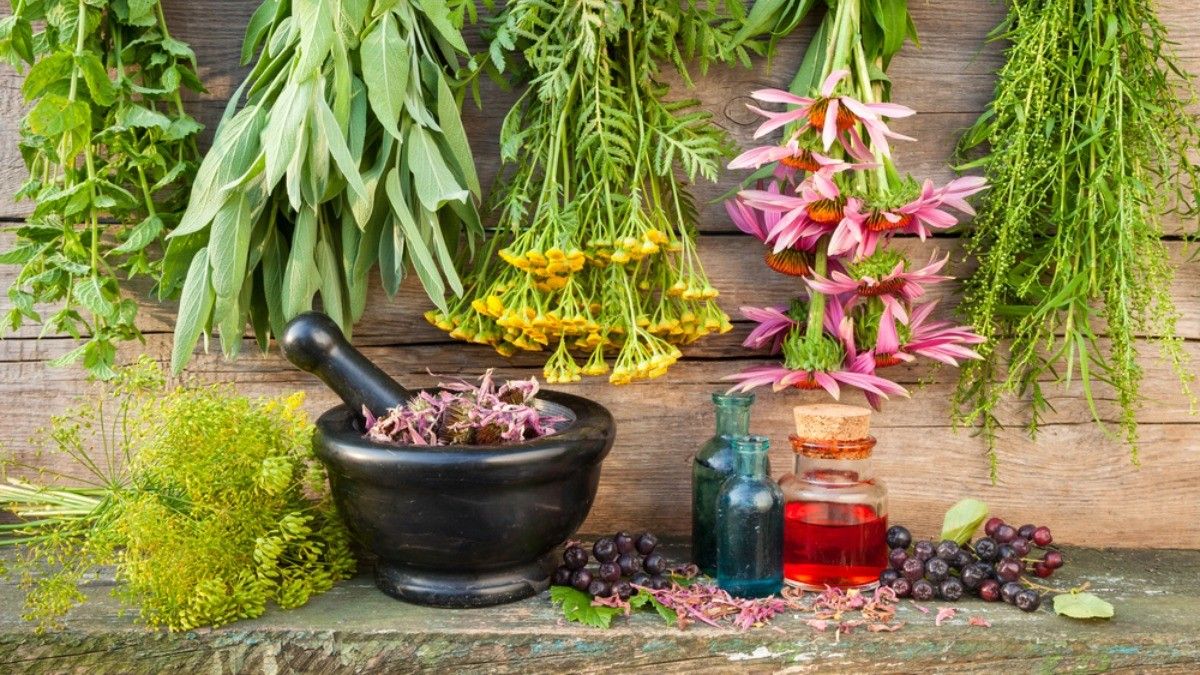 Mengenal Pengobatan Herbal yang Ampuh untuk Penyakit - KlikDokter