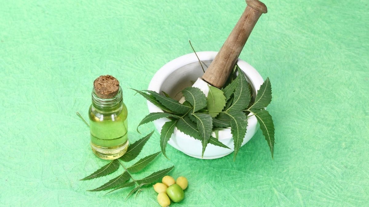 Menilik Manfaat Minyak Daun Neem untuk Kulit - KlikDokter