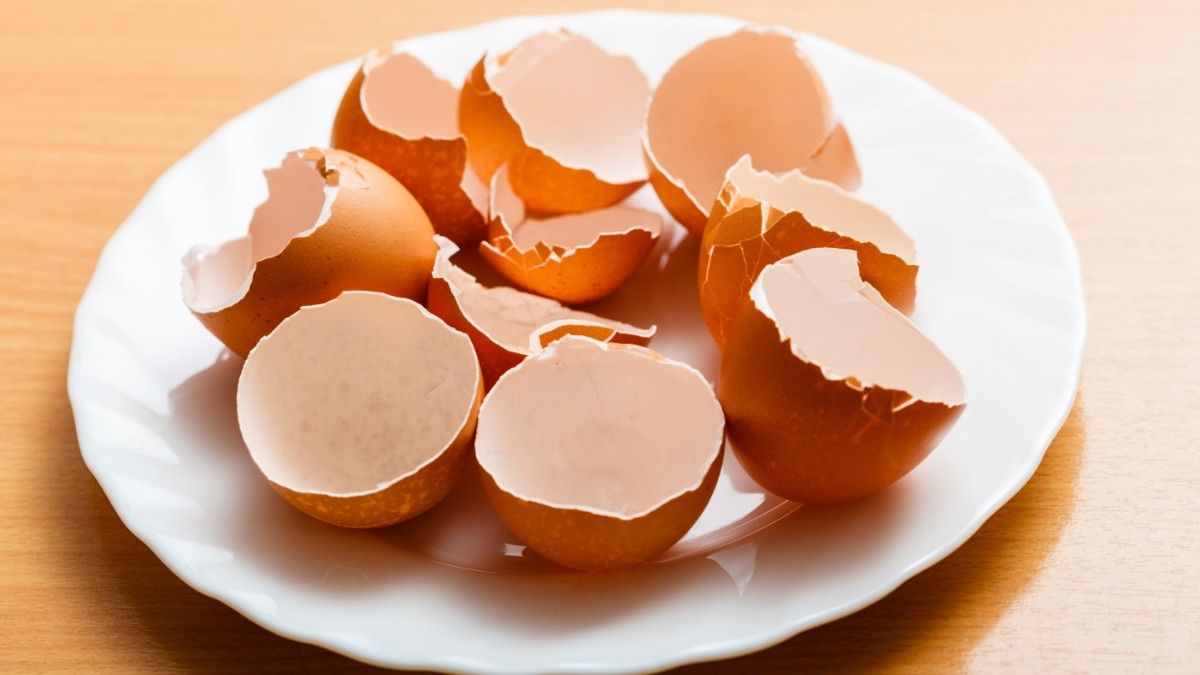 5 Manfaat Kulit Telur dan Cara Mengolahnya, Jangan Dibuang! - KlikDokter