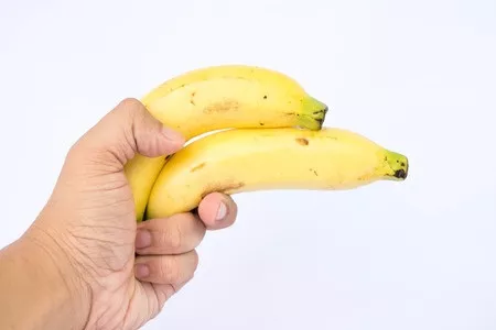 Diphallia: Kelainan Pada Pria Memiliki Dua Penis - KlikDokter