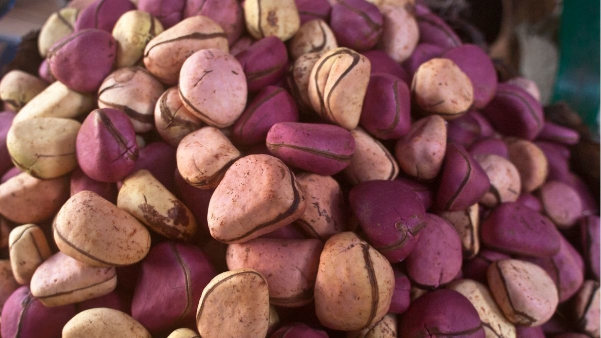 Manfaat Biji Kola untuk Kesehatan Tubuh - KlikDokter