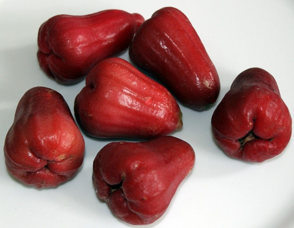 15 Manfaat Jambu Air untuk Kesehatan Tubuh - KlikDokter