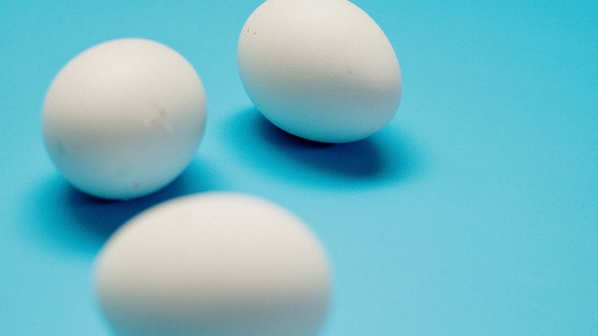 Polyorchidism, Kondisi Pria Punya Lebih dari 2 Testis - KlikDokter