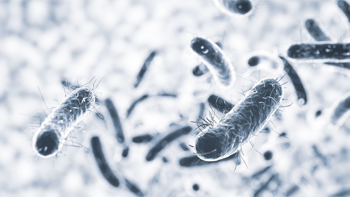 Solathim - Manfaat, Dosis, dan Efek Samping - KlikDokter