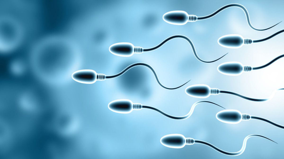 13 Gejala Infeksi Prostat pada Pria yang Harus Diwaspadai - KlikDokter