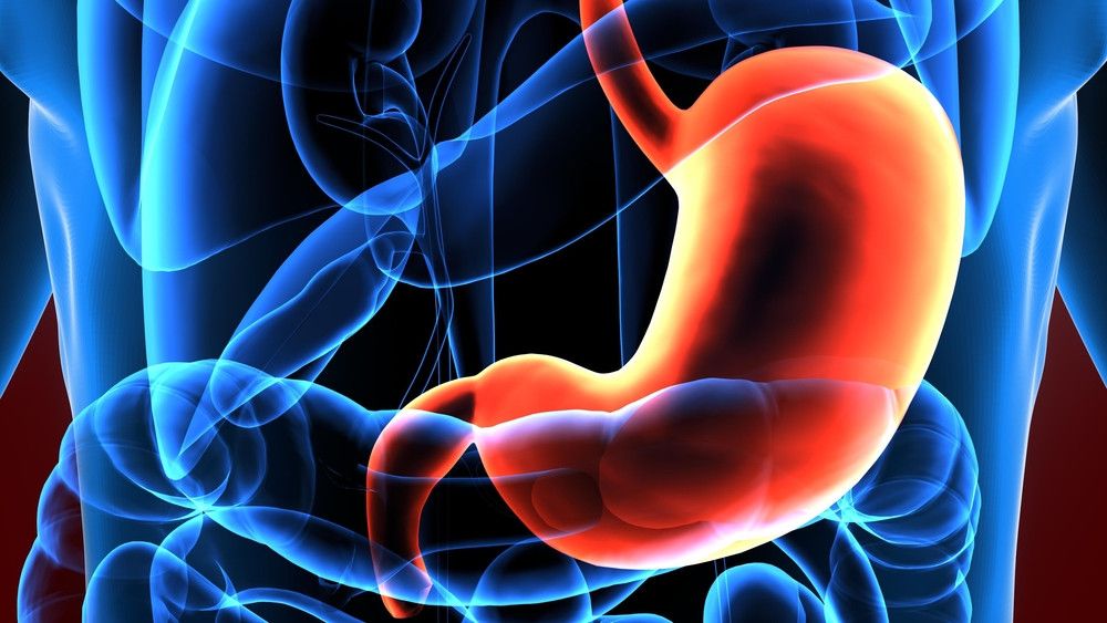 8 Penyakit yang Sering Menyerang Lambung - KlikDokter