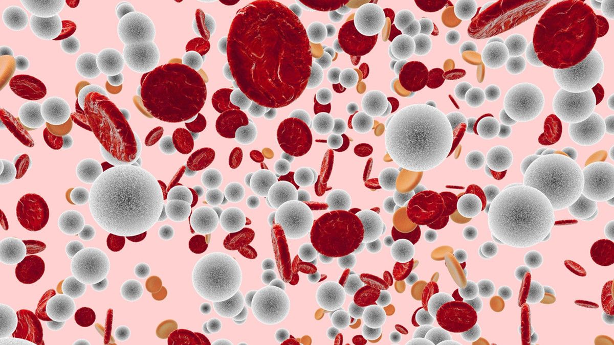 4 Komponen Darah dan Fungsinya - KlikDokter