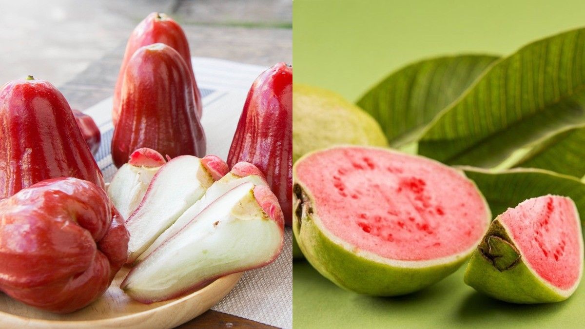 Jambu Merah vs Jambu Klutuk, Mana yang Lebih Sehat? - KlikDokter