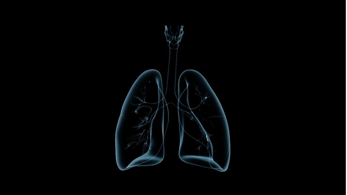 Mengenal Fungsi Trakea pada Sistem Pernapasan Manusia - KlikDokter