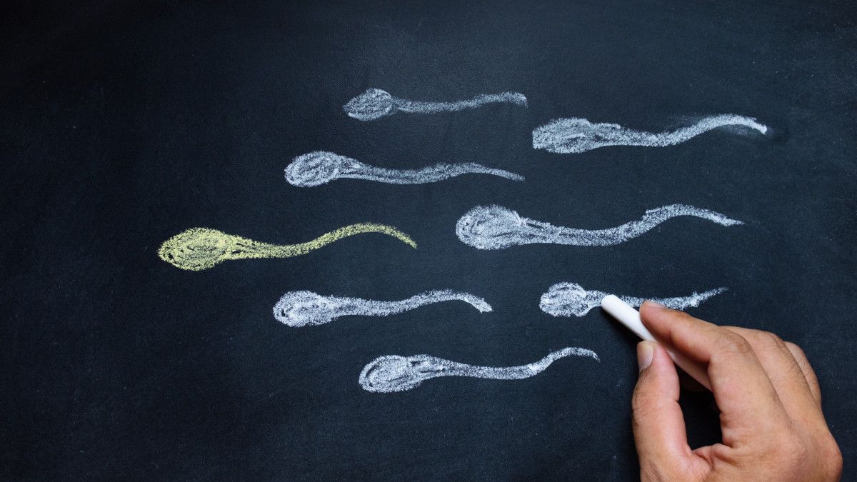 Benarkah Pria Harus Mengeluarkan Sperma Secara Rutin? - KlikDokter