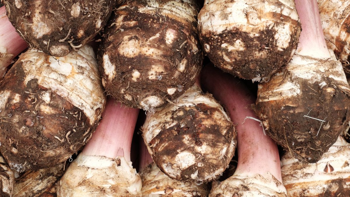 Manfaat Talas untuk Kesehatan Kulit - KlikDokter