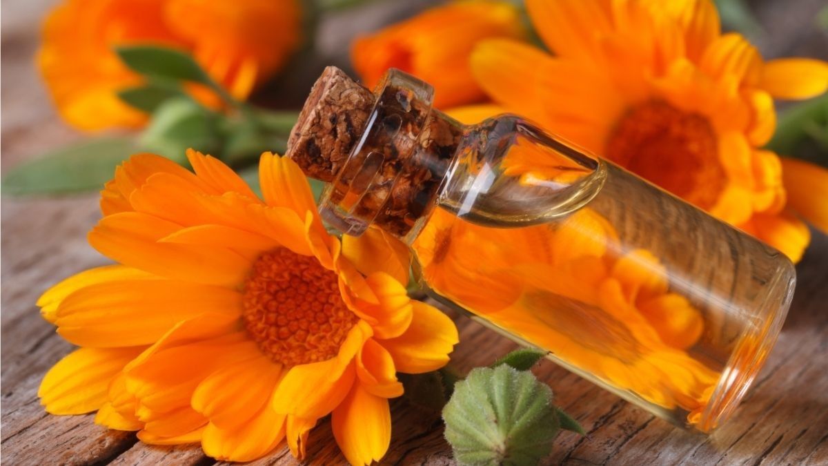 7 Manfaat Minyak Calendula bagi Kesehatan Kulit - KlikDokter