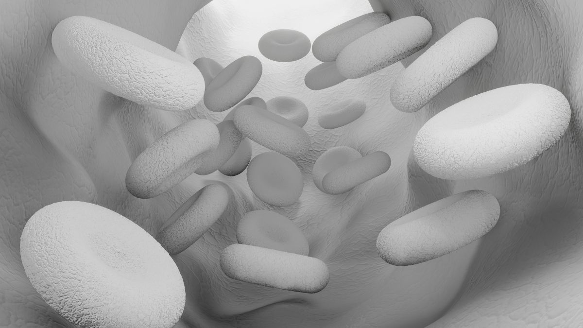 9 Kelainan dan Penyakit Sel Darah Putih yang Bisa Terjadi - KlikDokter