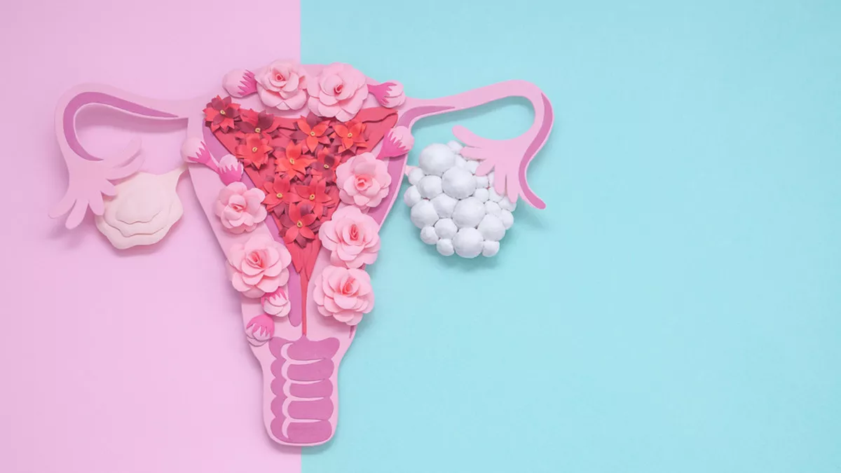 Fungsi Ring Pessarium dan Efek Sampingnya untuk Vagina - KlikDokter