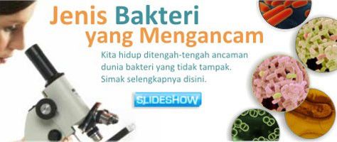 Jenis Bakteri Yang Mengancam - KlikDokter