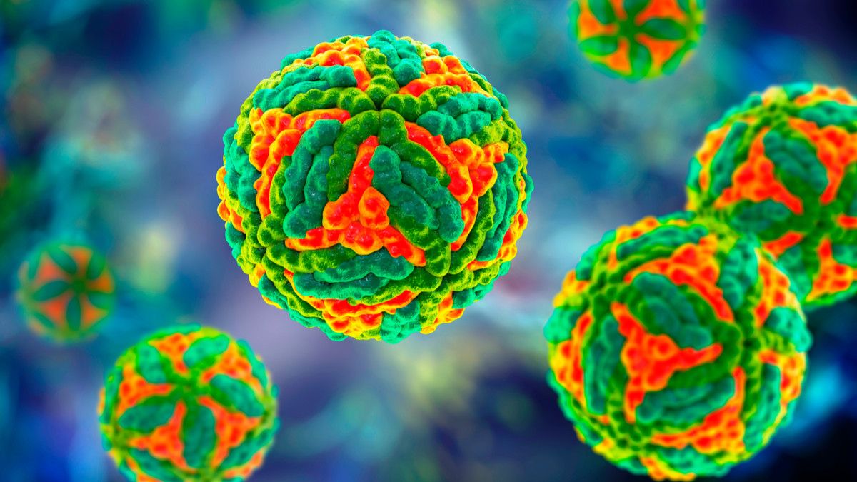 Evolusi Terbaru Virus Demam Berdarah - KlikDokter