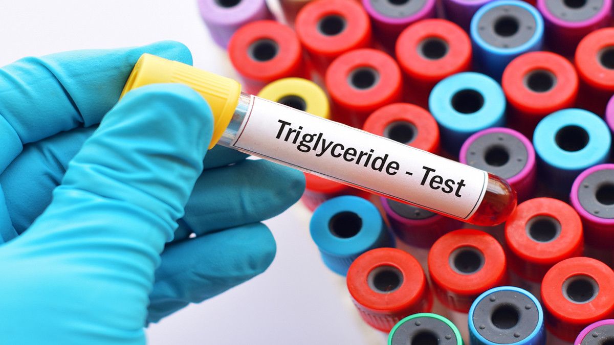 Arti Trigliserida Tinggi dan Dampaknya bagi Kesehatan - KlikDokter