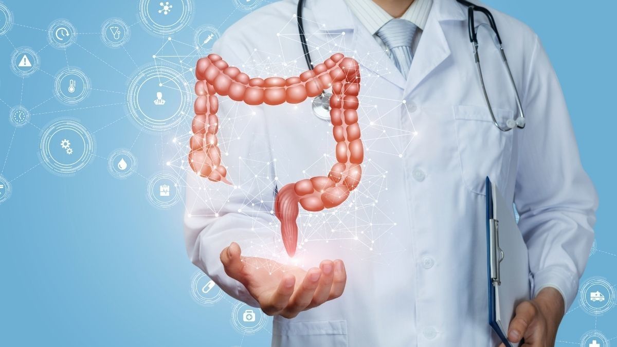 Mengenal Usus Besar dan Risiko Penyakit yang Menyerang - KlikDokter