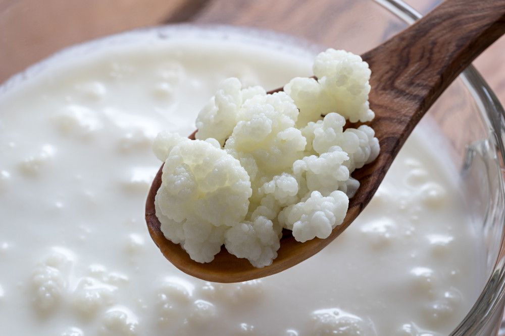 Ragam Manfaat Kefir untuk Kesehatan - KlikDokter