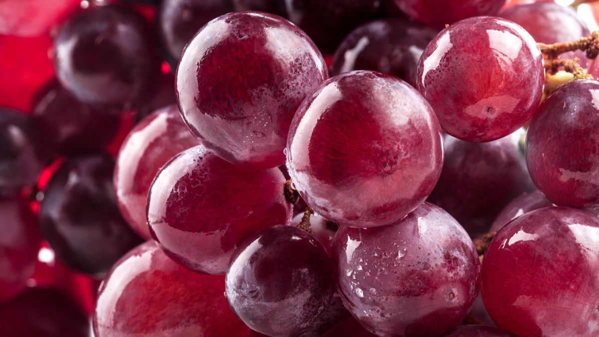 Bahaya Anggur Merah Saat Dikonsumsi Berlebihan - KlikDokter