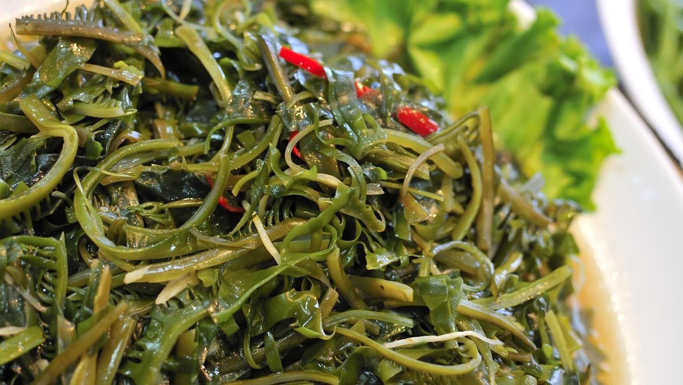 Manfaat Daun Pangi Bisa Obati HIV/AIDS, Mitos atau Fakta? - KlikDokter