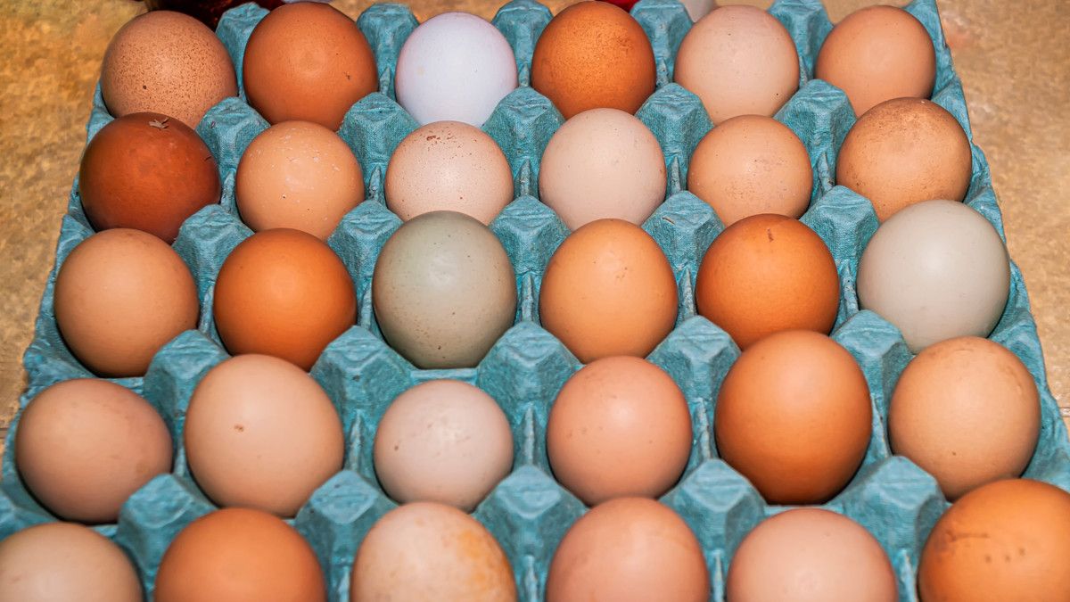 7 Jenis Telur Ayam, Mana yang Paling Sehat? - KlikDokter