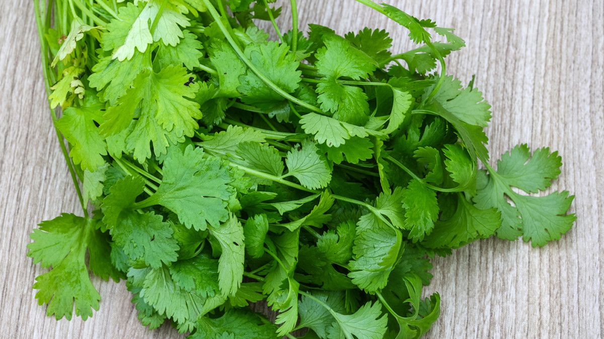 Mau Pakai Daun Ketumbar untuk Kesehatan Kulit? Ini Caranya! - KlikDokter