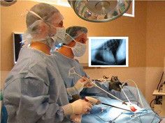 Pembedahan Invasif Minimal Harapan Baru Bagi Penderita Jantung - KlikDokter