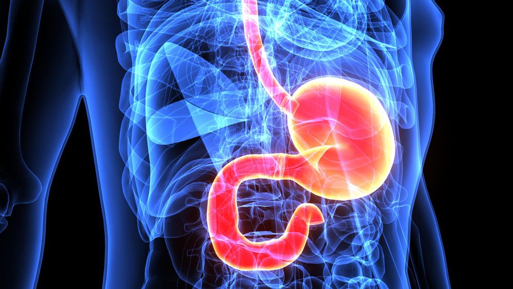 Jaga Kesehatan Lambung dengan Cara Ini - KlikDokter