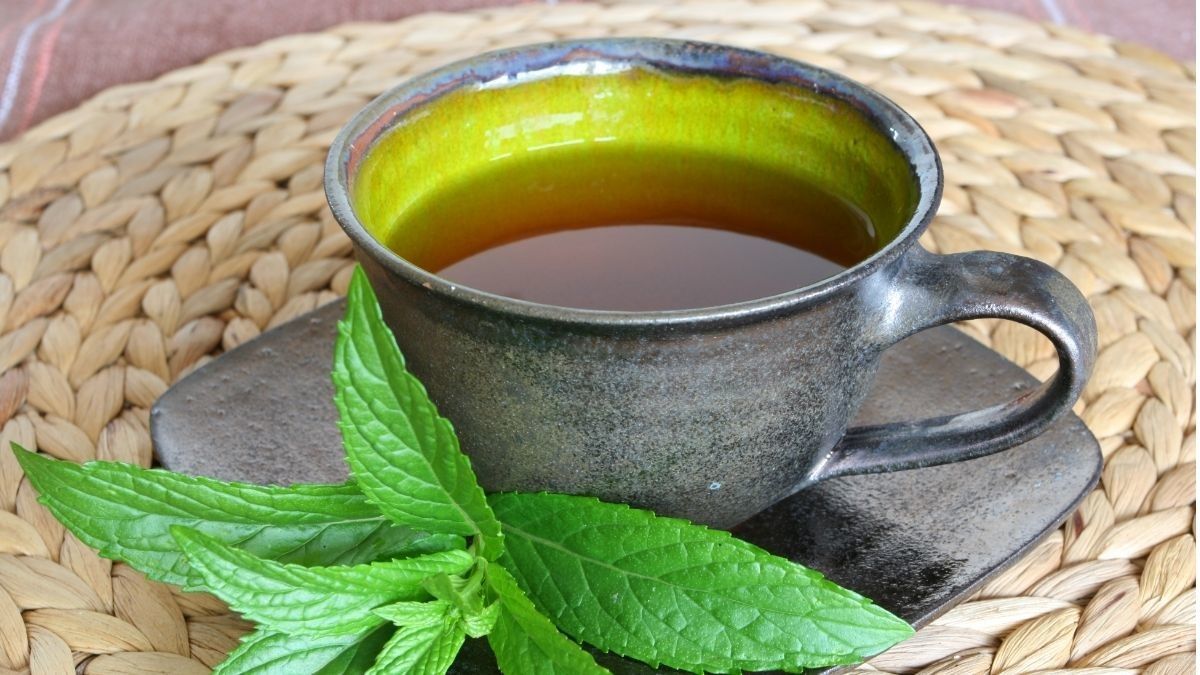 Kenali, Ini Jenis Teh dan Manfaatnya bagi Kesehatan - KlikDokter