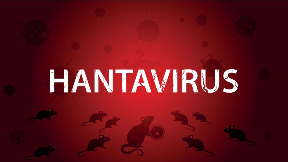 Sempat Geger, Muncul Lagi Kasus Infeksi Hantavirus di Tiongkok - KlikDokter