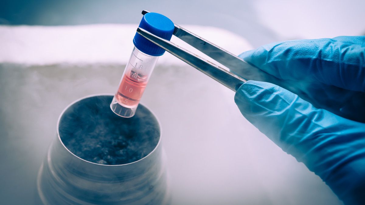 Mengenal Terapi Stem Cell dan Potensinya untuk Menyembuhkan Penyakit ...