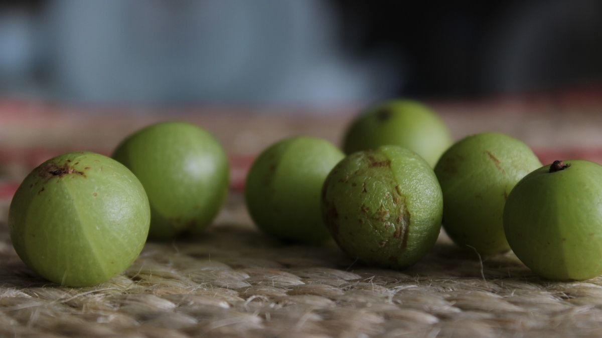 3 Manfaat Jus Amla untuk Kesehatan Pasien Penyakit Ginjal - KlikDokter